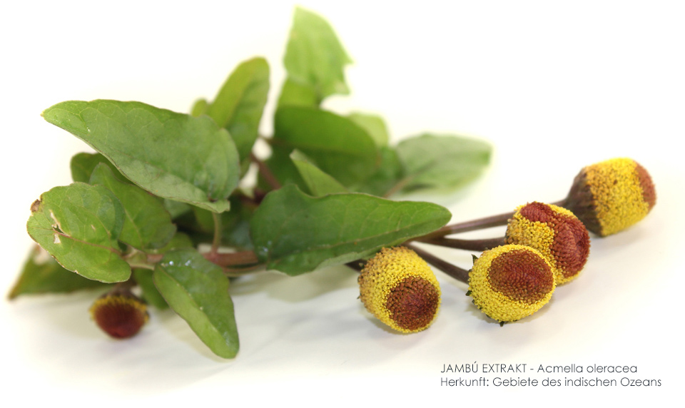 Anti-Falten-Pflege mit Soforteffekt. Gegen Mimikfalten