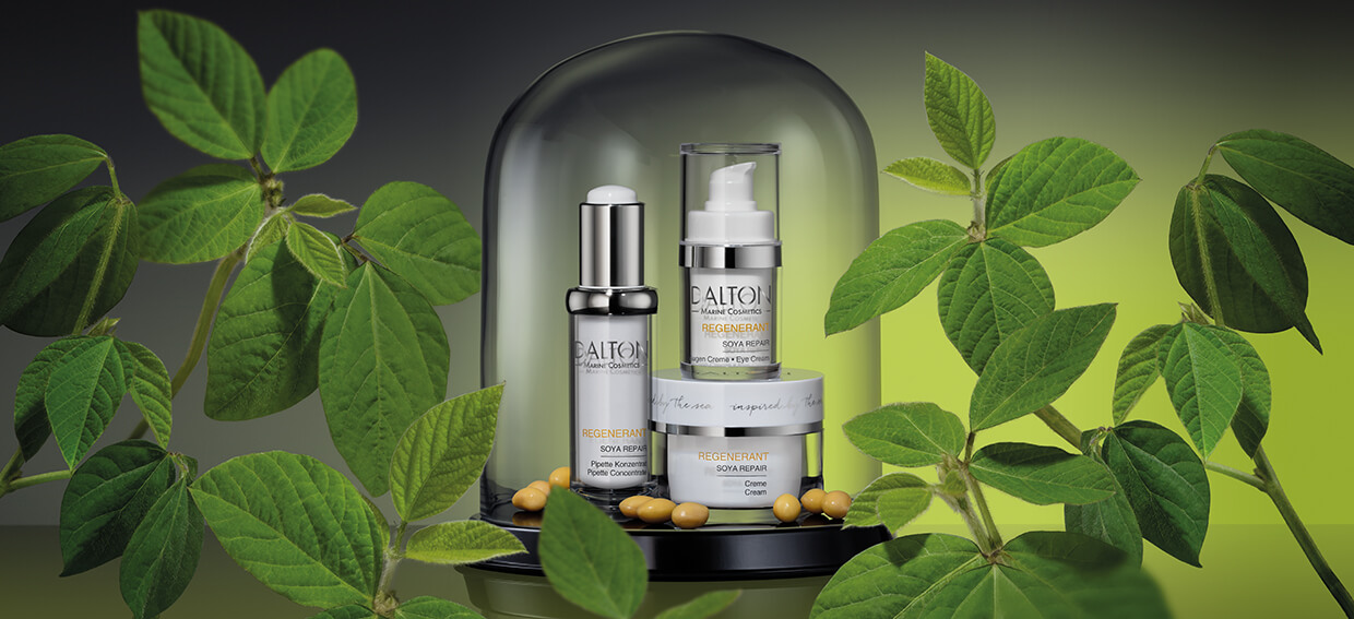 Regenerant Collection